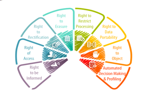 Individual rights - Hampson Training